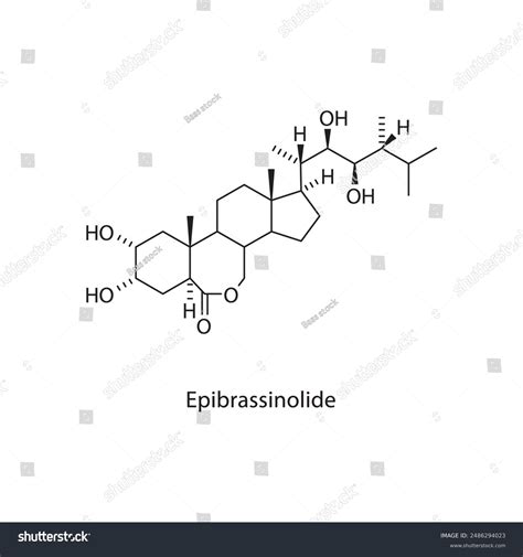 Diosgenin Skeletal Structure Diagramsteroid Hormone Compound Stock Vector Royalty Free