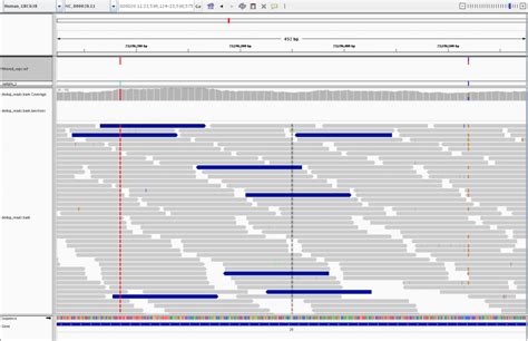 Variant Discovery NGS Analysis