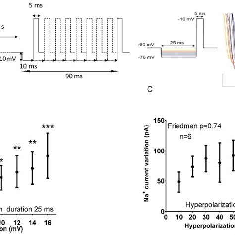 Membrane Pre Hyperpolarization Resulted In An Amplification Of Na