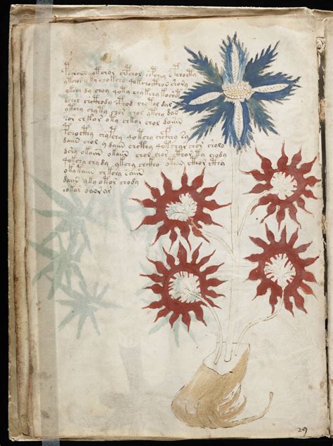 The Fascinating Voynich Manuscript Decoded