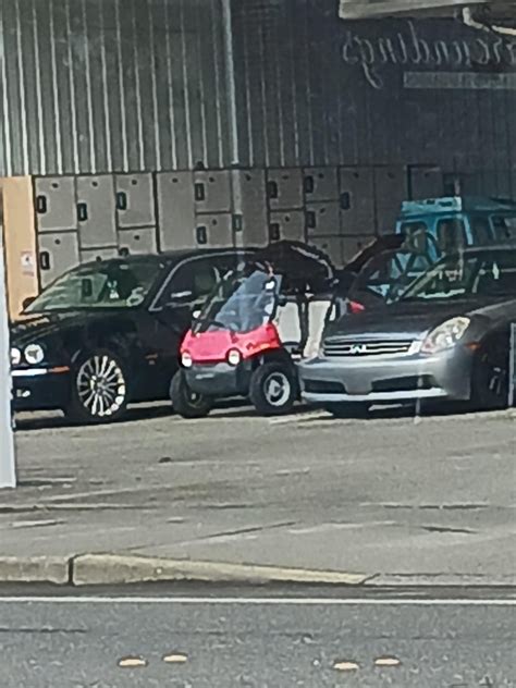 What Is This Cute Bug Thing And Why Does It Look Like A Blast To Drive