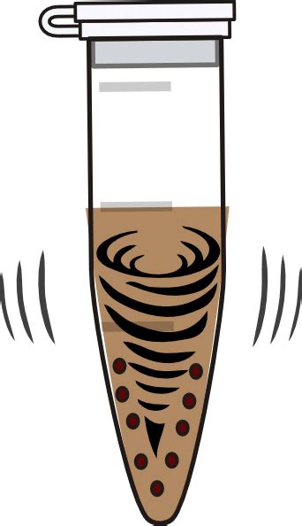 Eppendorf Vortex Clip Art At Vector Clip Art Online Royalty Free And Public Domain