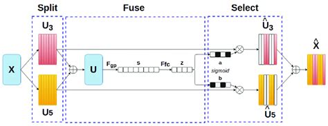 selective kernel module download scientific diagram