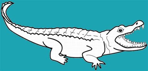 תנין דפי צביעה