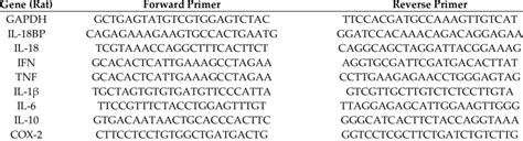 Sequence Of Primers Involved In This Study Download Scientific Diagram