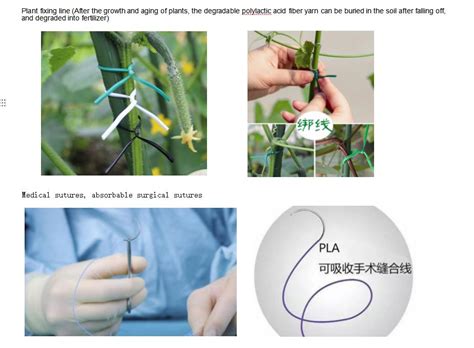 Biodegradable Woven Clothing Labels The Perfect Fusion Of Fashion And