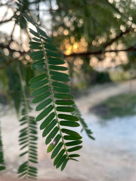 akash yadav on linkedin click photography photo nature linkedin