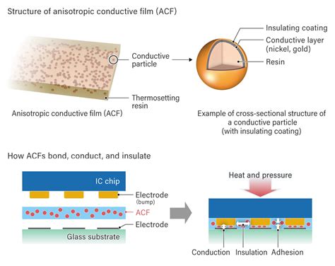 Conductive Adhesive Layer At Amanda Moretz Blog