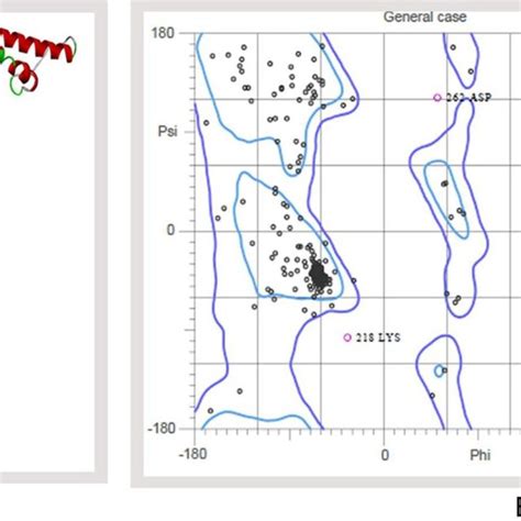 tertiary structure prediction and validation of vaccine protein v1 a