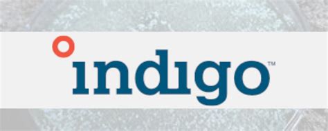 Anvisa Abre Prazo Para Manifestações Sobre Trichoderma Hamatum