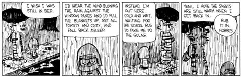 10 Things Everyone Always Gets Wrong About Calvin And Hobbes