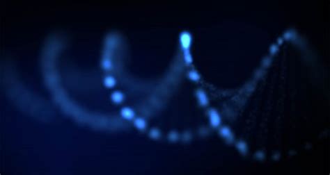 Structure And Ultra Fast Dynamics Of Biological Macromolecules And Complexes Thereof Wur