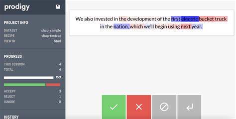 Model Explanation Usage Prodigy Support