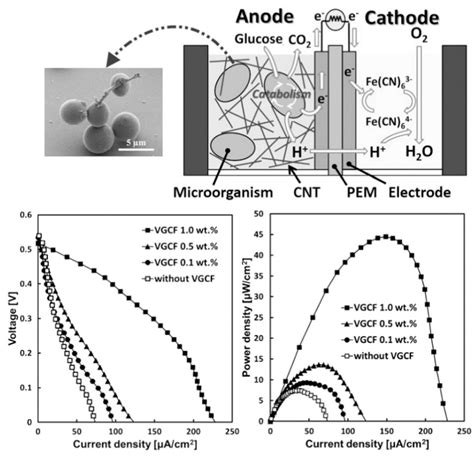 Figure 12 From Carbon Nanotube Modification Of Microbial Fuel Cell Electrodes Semantic Scholar