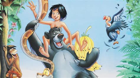 Baloo Wallpapers Top Free Baloo Backgrounds Wallpaperaccess