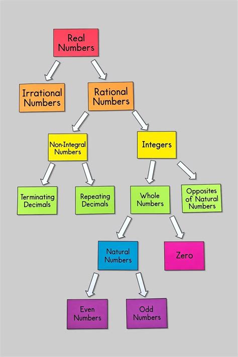 Classifying Numbers 7th Grade Quiz Quizizz