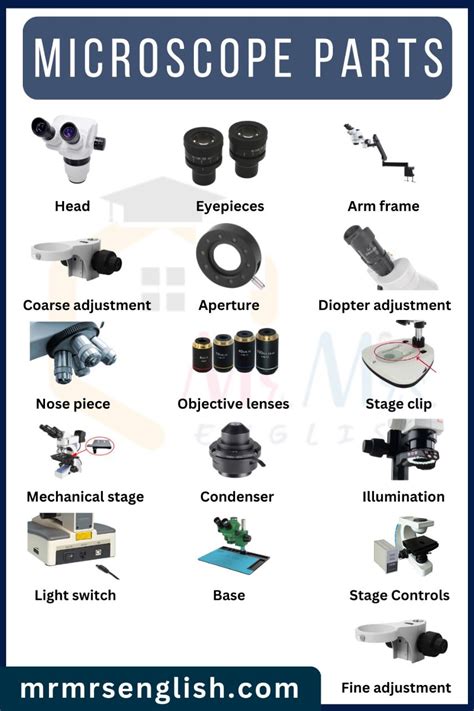 Microscope Parts Names In English And Their Pictures Microscope Parts Microscope