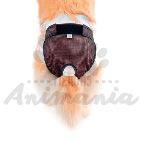 Calzon Higienico Canino Protector De Celo Talla 0 Animania