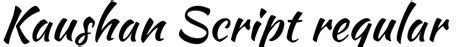 Font Spy Kaushan Script Font Free Download
