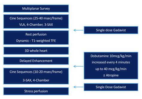 Dscmr Acquisition Protocol Download Scientific Diagram