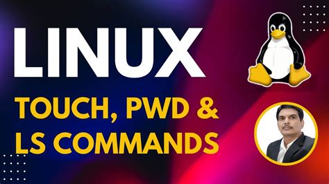 Part Unix Linux For Testers Touch Pwd Ls Commands YouTube