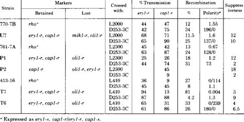 Analysis Of Rho By Rho Crosses Download Table