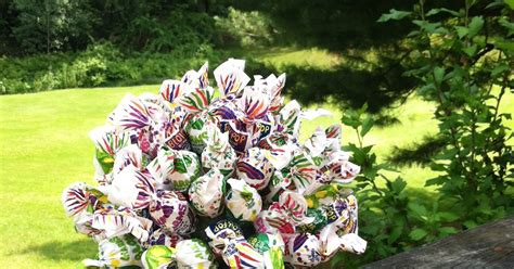Lollipop Trees And Labels Lesson Plans And Lattes