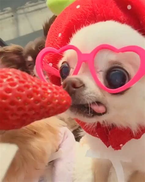 Isabel Nichols 21inichols Profile Pinterest