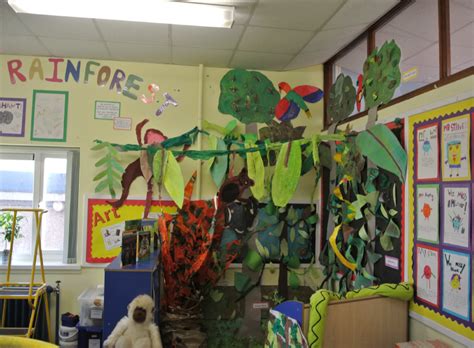 Rainforest Classroom Display Photo Sparklebox