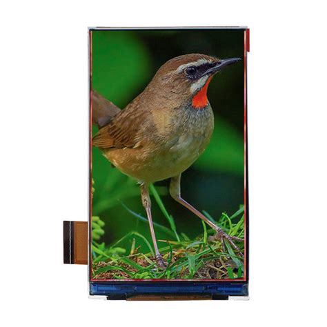 실용적인 다목적 Lvds 터치 스크린 Oled 디스플레이 모듈