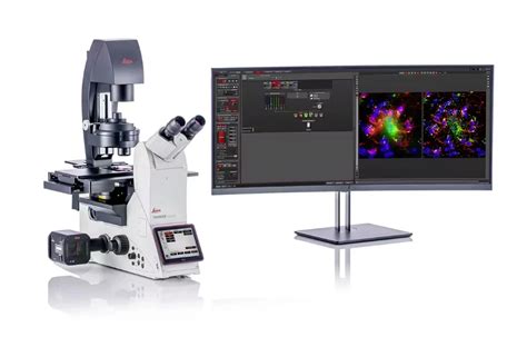 Leica Thunder Imager Live Cell And 3d Assay