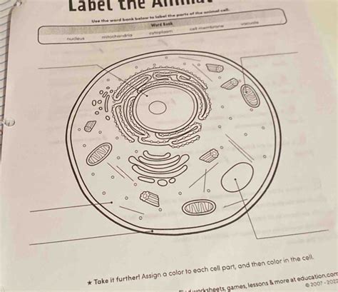 solved label the an use the word bank below to label the parts of the