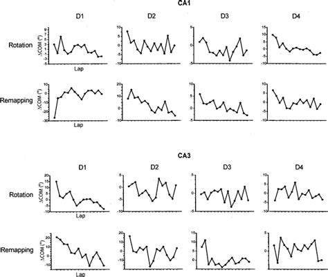 Relationship Between Place Field Behavior And COM Shift The Average Download Scientific