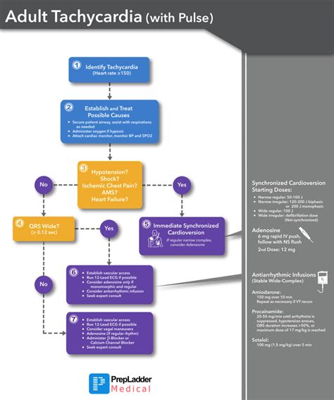 Adult Tachycardia Algorithm PrepLadder