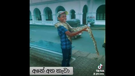 අඩේ ගනින් අත කැවා Youtube