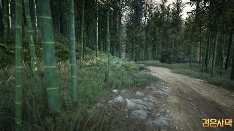 스크린샷 And 영상 배경화면 이벤트 참여 검은사막 한국