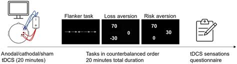 the figure depicts one representative tdcs session with examples of
