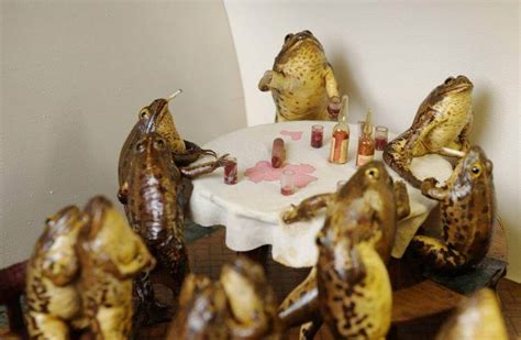 About The Collection Froggyland