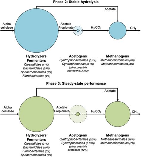 Deterministic Processes Guide Long Term Synchronised Population Dynamics In Replicate Anaerobic
