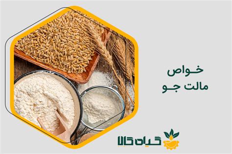 فواید و خواص مالت جو کامل ترین مقاله آپدیت 1402