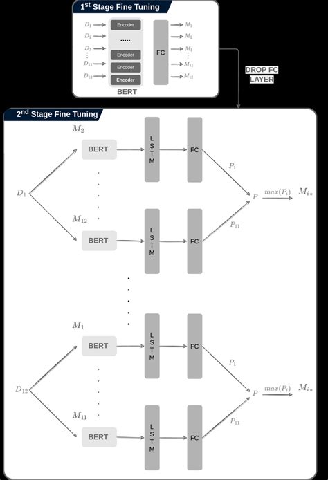 Fine Tuning Strategy For The Bert Model At Two Different Stages