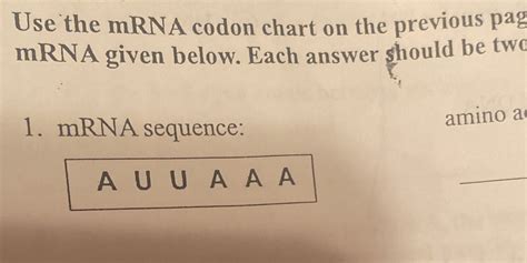 Use The Mrna Codon Chart On The Previous Pag Mrna Given Below Each