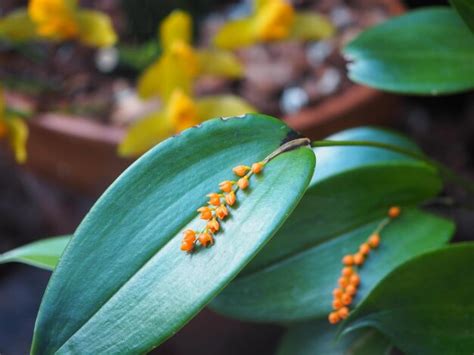 Miniscule Images Free Download On Freepik