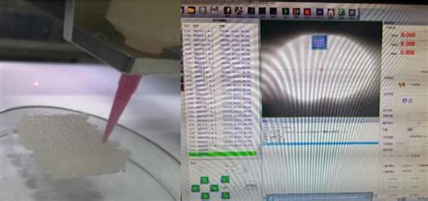 Printing Process Of Pvasa Composite Hydrogel Scaffold Download Scientific Diagram