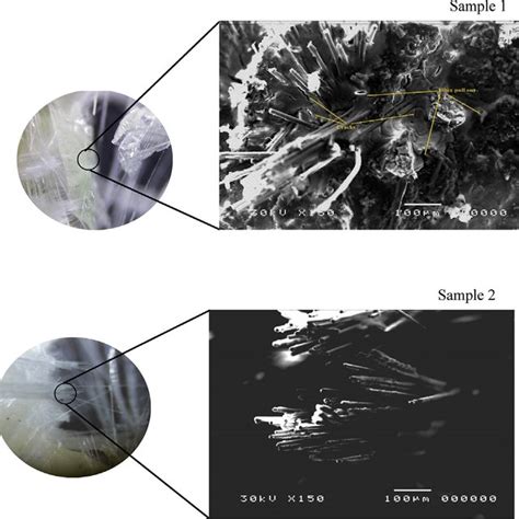 Scanning Electron Micrographs Of Tensile Fracture Surfaces Of Sample 1