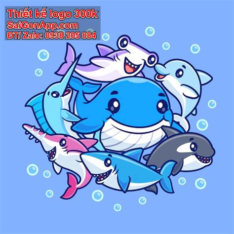 Cá Mập Chibi Chibi Shark ThiẾt KẾ 300k ĐẸp ChuyÊn NghiỆp Saigonapp