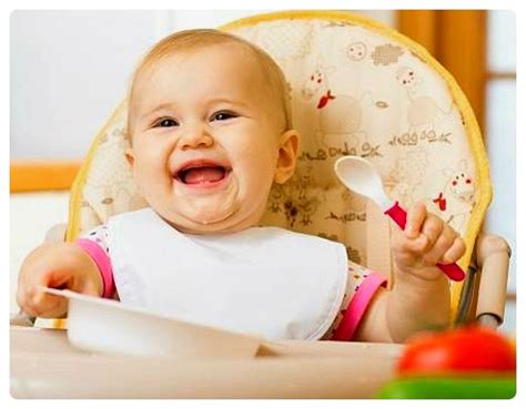 분유와 젖병 노리개젖꼭지 떼기 치아우식증 네이버 블로그