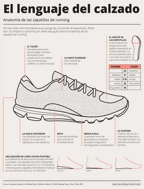 Anatomía De Una Zapatilla Compra Zapatillas Hombre Zapatillas