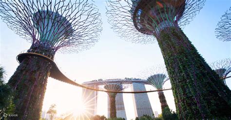 Gardens By The Bay Supertrees Flower Dome And Cloud Forest Klook