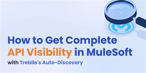 How To Get Complete Api Visibility In Mulesoft With Treblles Auto
